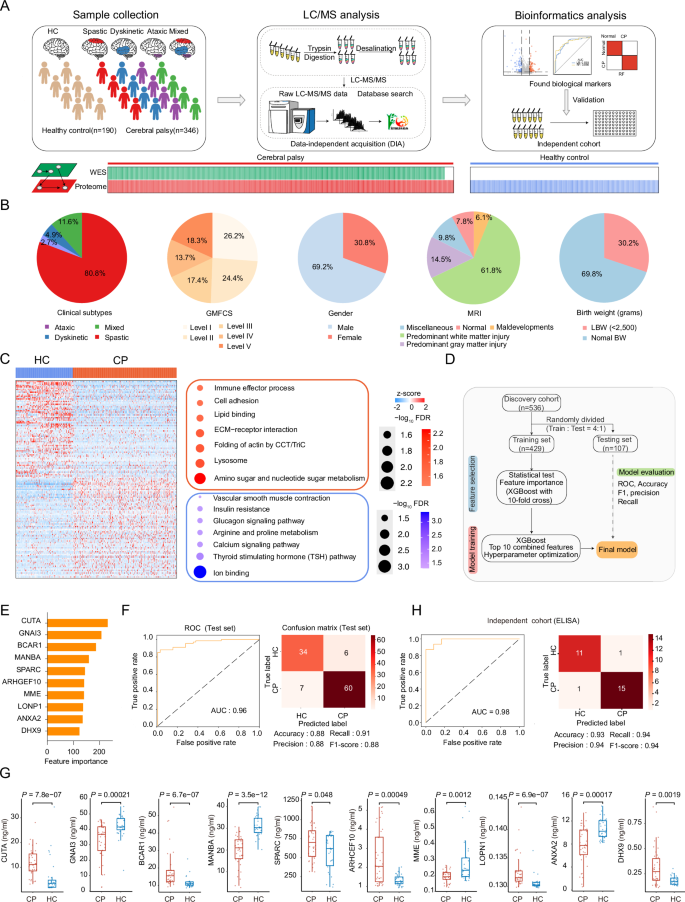 Serum Proteomics Reveals Diagnostic Biomarkers and Molecular Pathways ...