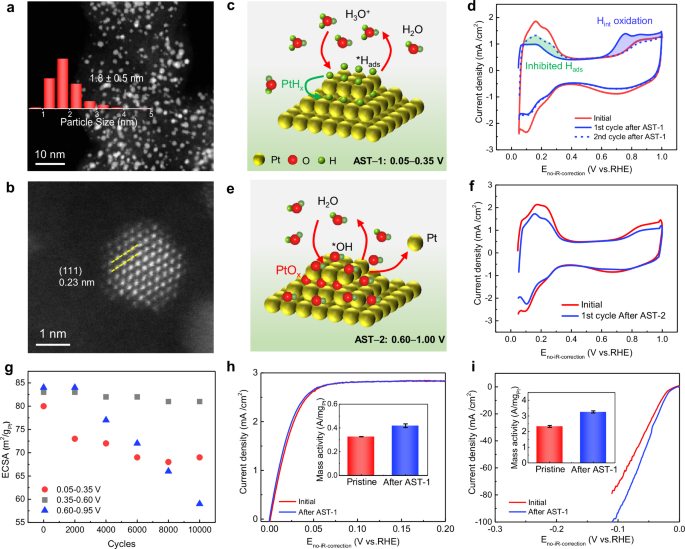 Self-modulated hydrogen electrocatalysis on sub-2-nm platinum ...
