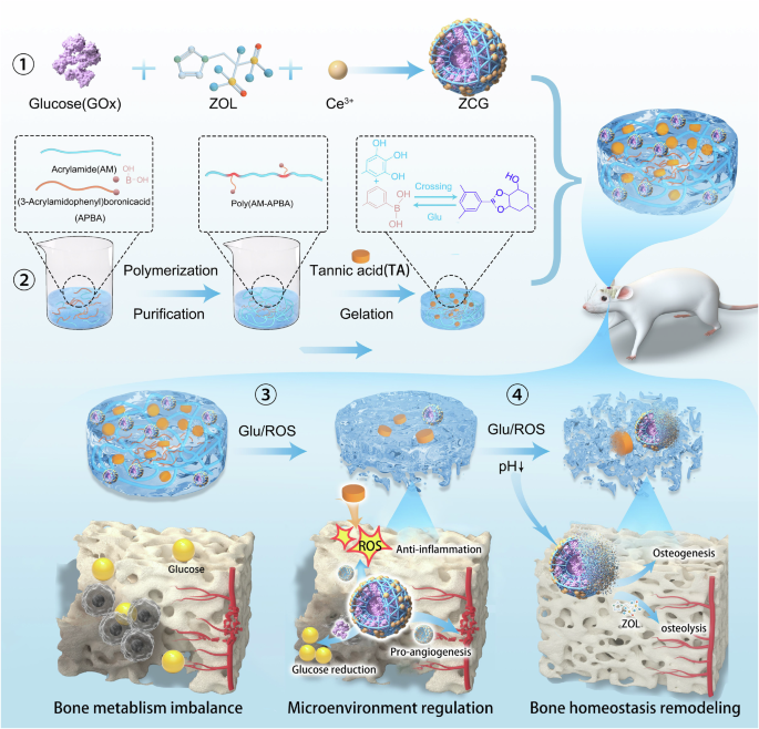 Microenvironment-responsive multifunctional enzyme-linked hydrogel for ...