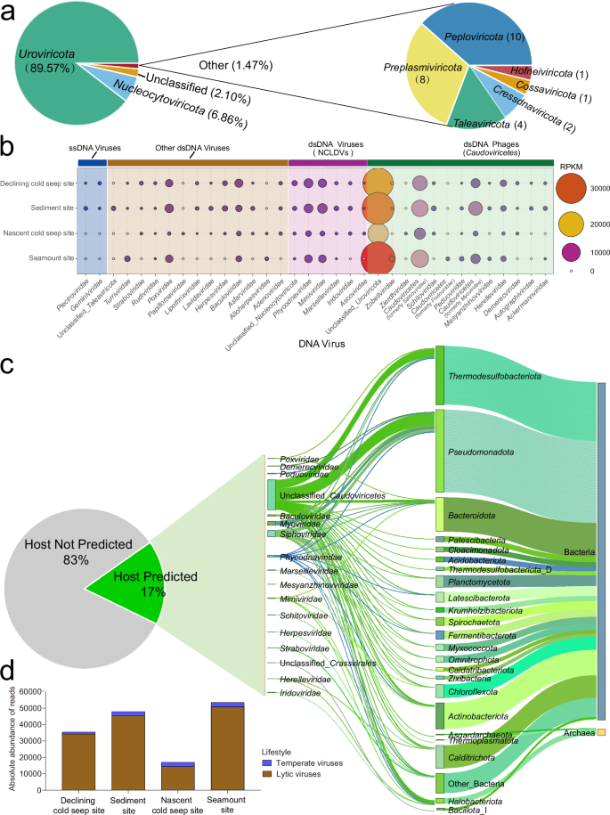 Deep-sea viral diversity and their role in host metabolism of complex ...