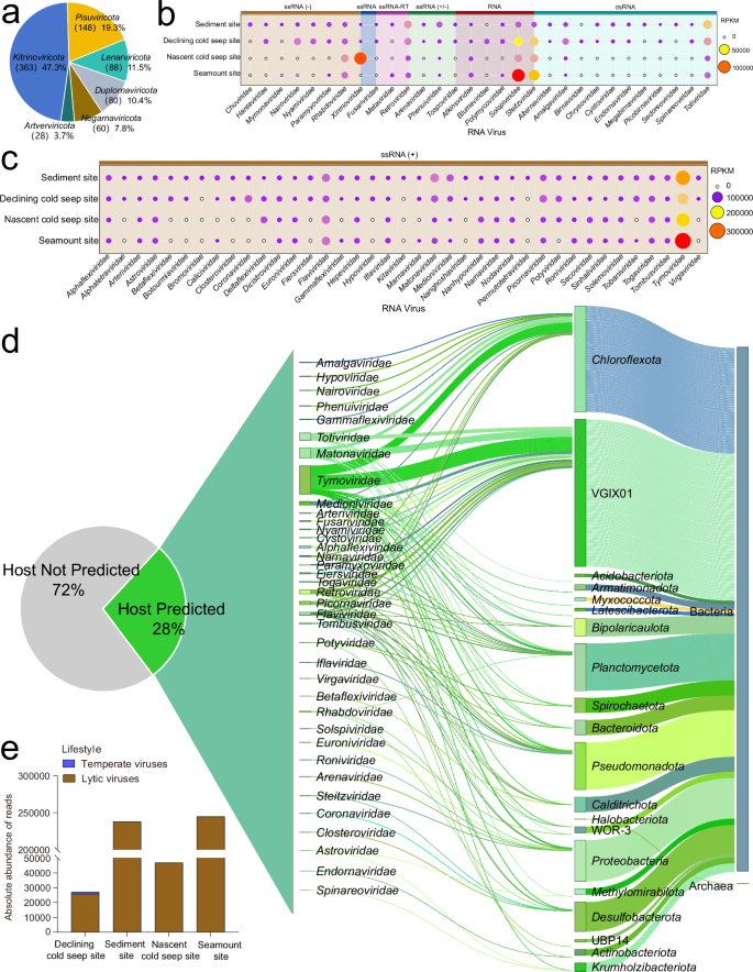 Deep-sea viral diversity and their role in host metabolism of complex ...