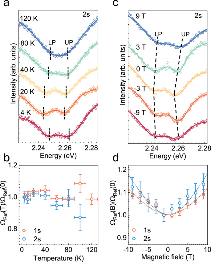 On-chip photonic crystal dressed Rydberg exciton polaritons with ...