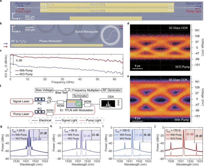 Unifying optical gain and electro-optical dynamics in Er-doped thin ...