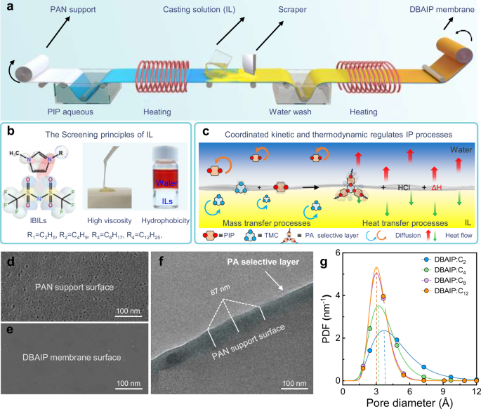 Doctor-blading-assisted interfacial polymerization for green and ...