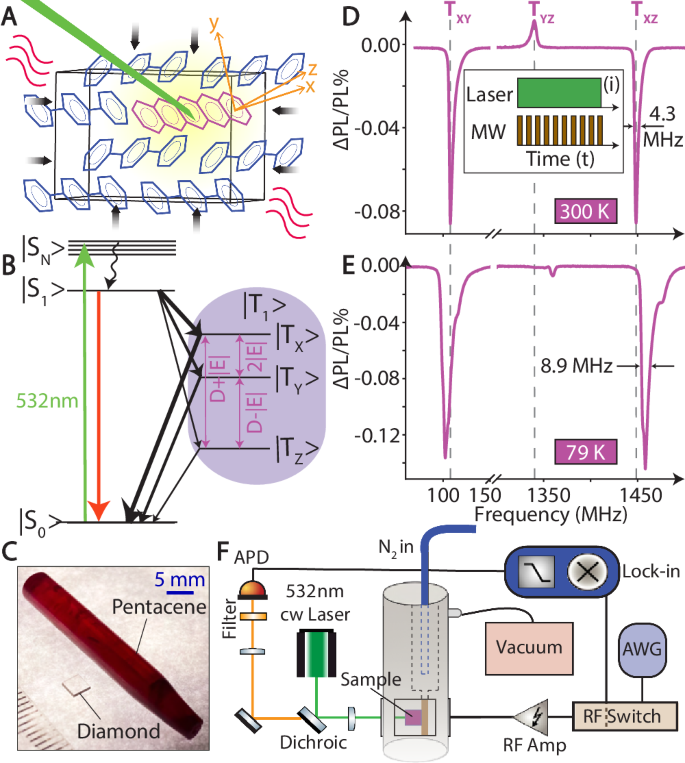 High sensitivity pressure and temperature quantum sensing in pentacene ...