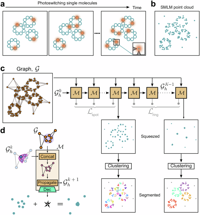 Enhanced spatial clustering of single-molecule localizations with graph ...