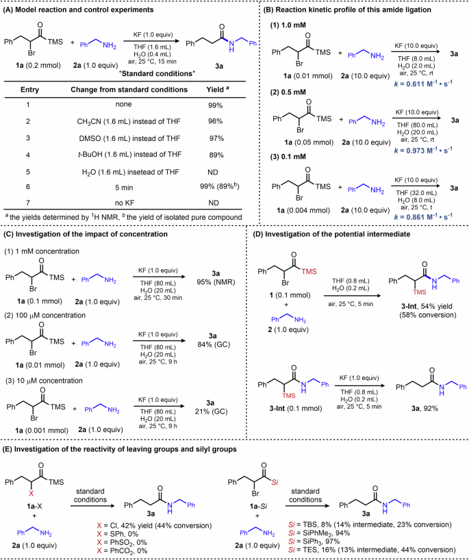 Rapid amide ligation between α-halo acylsilanes and amines under ...