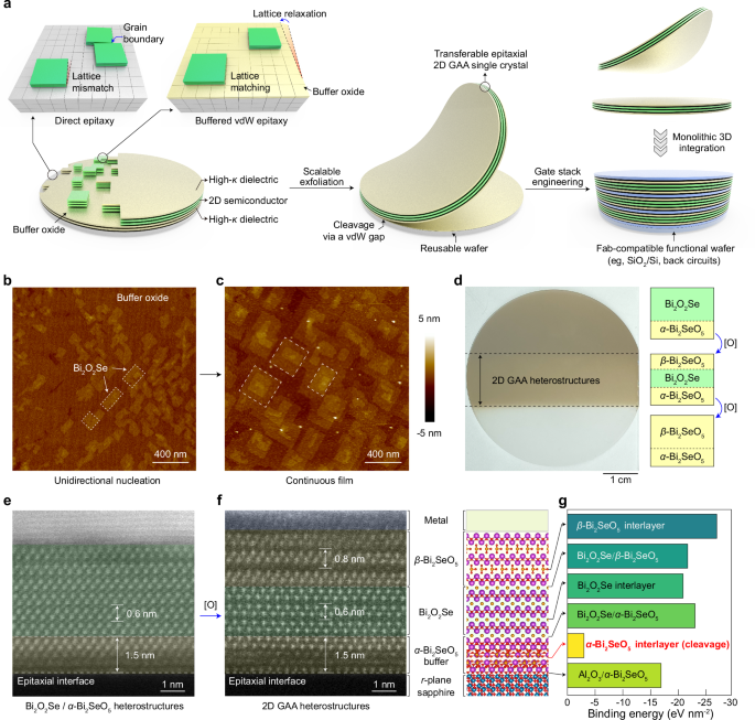Wafer-scale uniform epitaxy of transferable 2D single crystals for gate ...