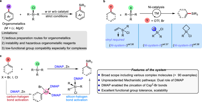 A DMAP-enabled strategy for C(sp2)-Si coupling of halosilanes with ...