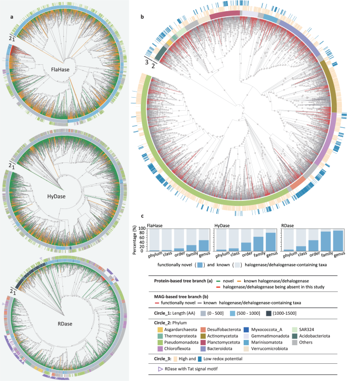 Microbially-mediated halogenation and dehalogenation cycling of ...