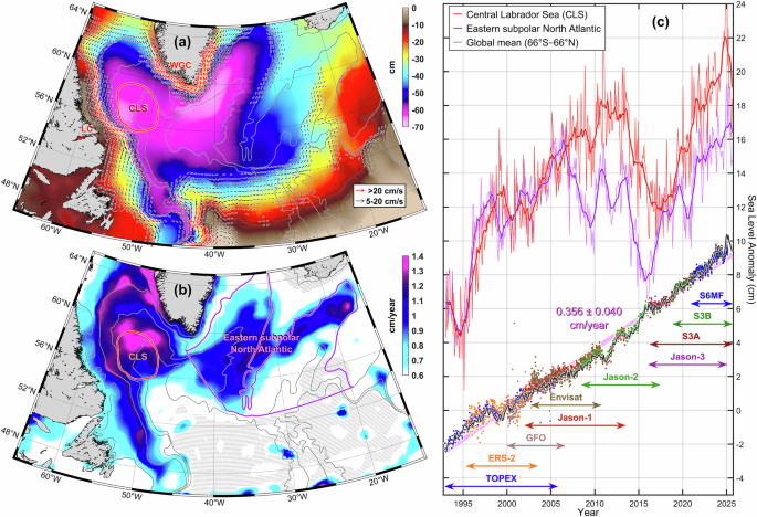 Concurrent warming, freshening and cessation of deep convection in the ...
