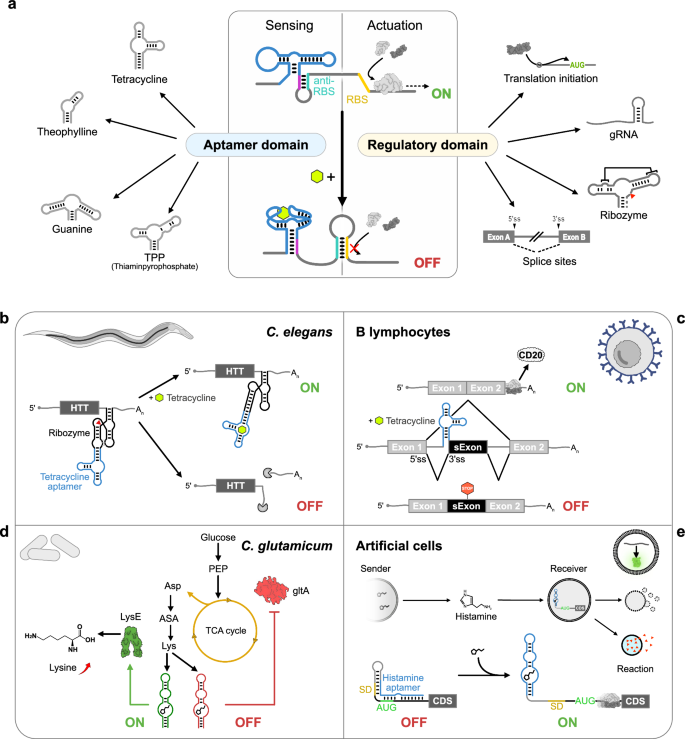 Beyond the niche - unlocking the full potential of synthetic ...