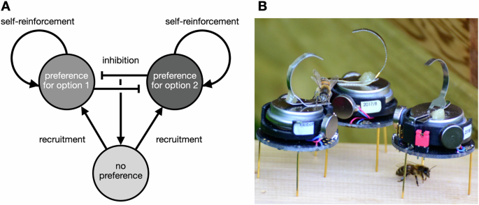 Collective intelligence in animals and robots | Nature Communications