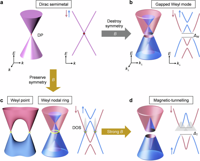 Field manipulation of Weyl modes in an ideal Dirac semimetal | Nature ...