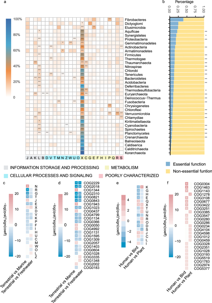 Deciphering gene redundancy in prokaryotic genomes provides ...