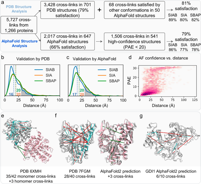 Cysteine-enabled cleavability to advance cross-linking mass ...
