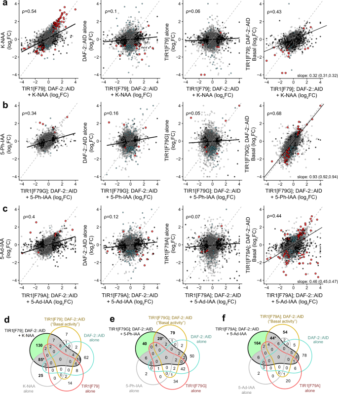 Engineering the auxin-inducible degron system for tunable in vivo ...