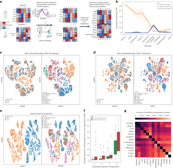 Coexpression enhances cross-species integration of single-cell RNA ...