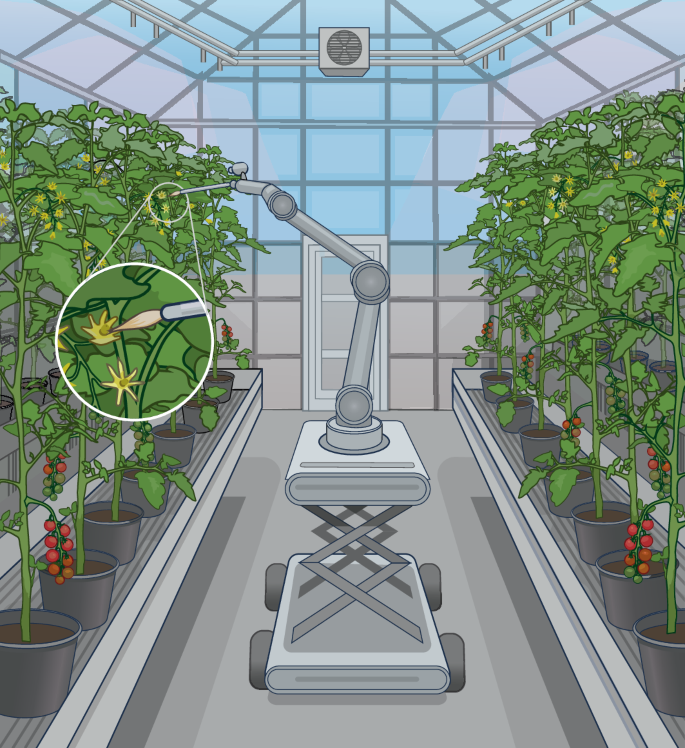 Co-designing biology and technology unlocks automated plant breeding ...