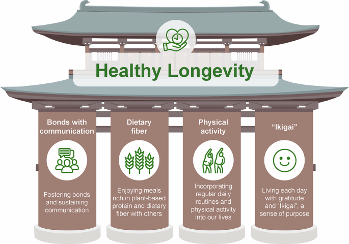 Towards global healthy longevity: report from the 1st World Longevity ...