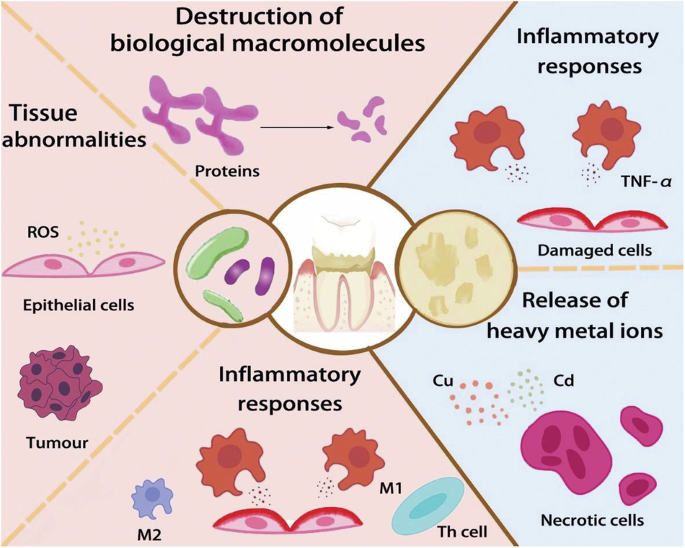 Recent advances in the pathogenesis and prevention strategies of dental ...