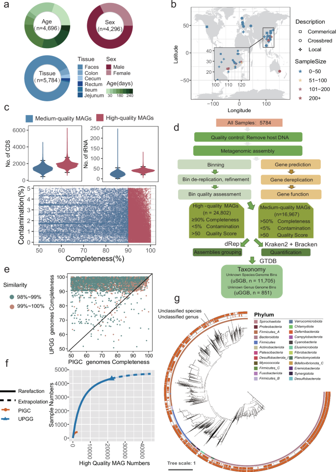 UPGG: expanding the taxonomic and functional diversity of the pig gut ...