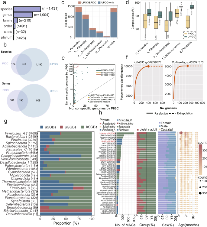 UPGG: expanding the taxonomic and functional diversity of the pig gut ...
