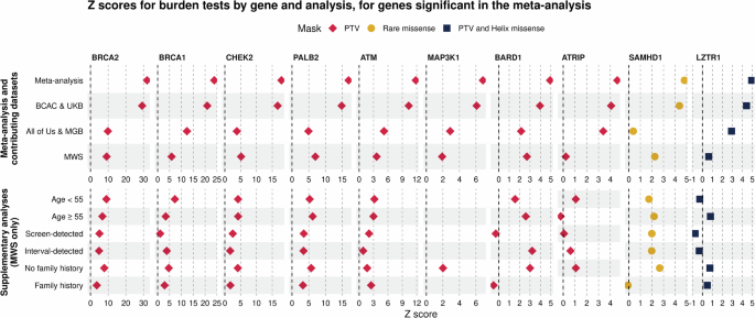 Meta-analysis of exome-wide gene burden analysis of breast cancer ...