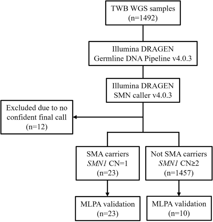 Application of whole genome sequencing for carrier and diagnostic ...