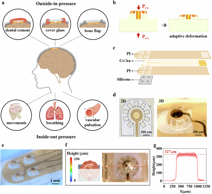3D soft microbump electrodes for elastic interaction with brain tissue ...
