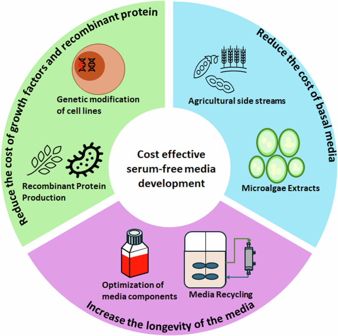 Exploring cost reduction strategies for serum free media development ...