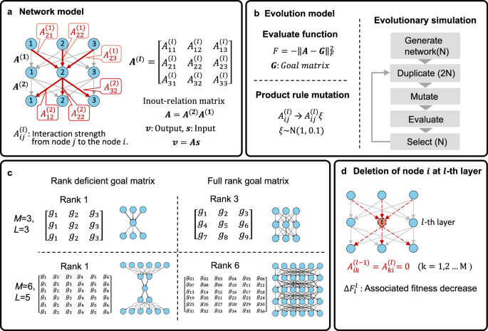Revisiting the evolution of bow-tie architecture in signaling networks ...