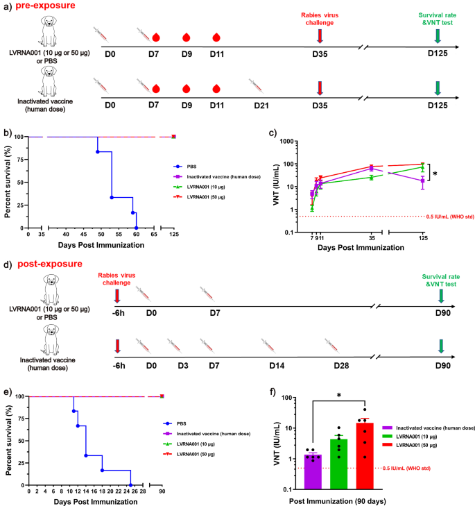 Safety and efficacy assessment of an mRNA rabies vaccine in dogs ...