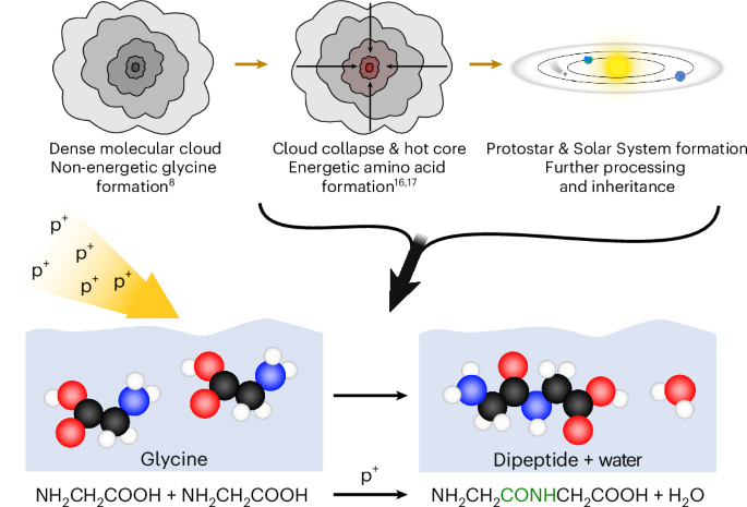 An interstellar energetic and non-aqueous pathway to peptide formation ...