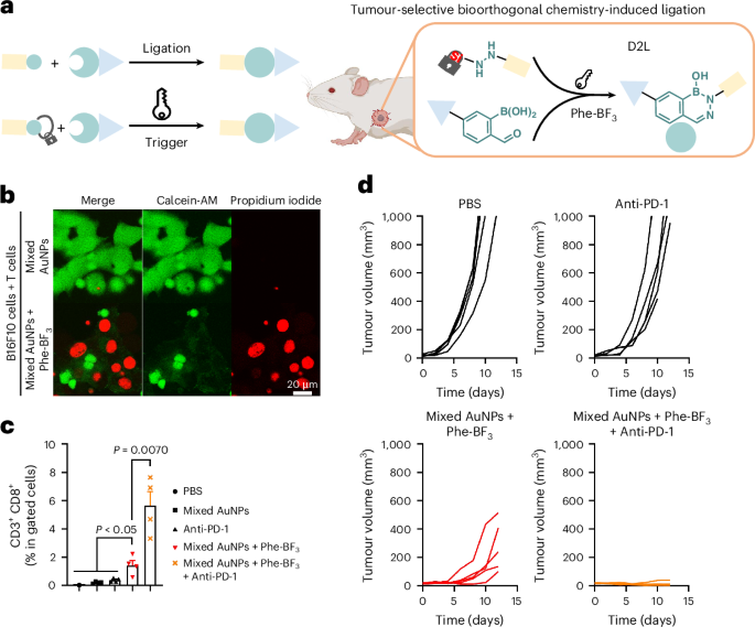 A bioorthogonal ligation system induces controlled proximity for cancer ...