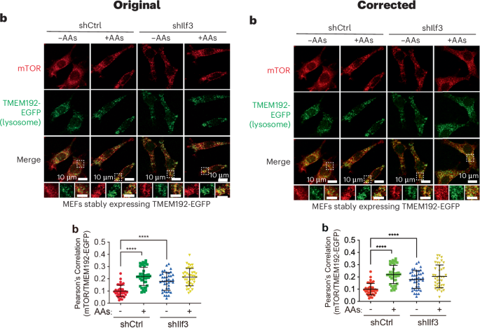 Author Correction: Genome-wide CRISPR screens identify ILF3 as a ...