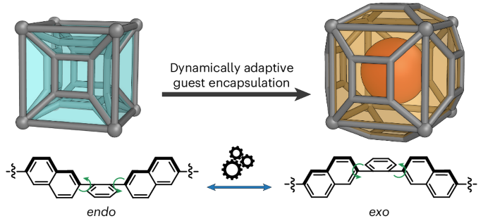 A pseudo-cubic metal–organic cage with conformationally switchable ...