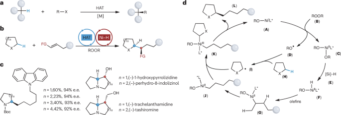 Stereoselective alkylation of saturated heterocycles | Nature Chemistry