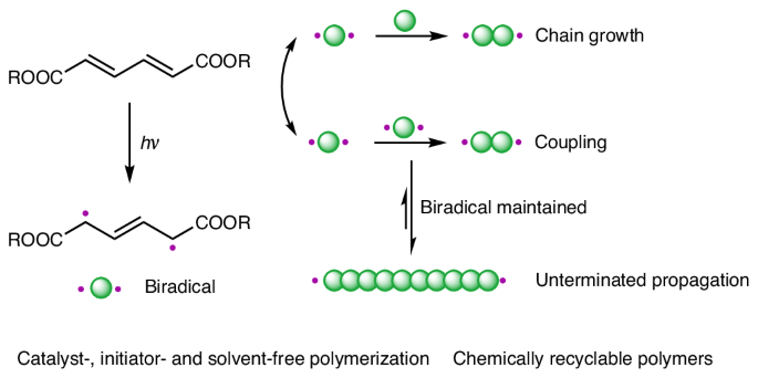 Photoinduced bulk polymerization strategy in melt state for recyclable ...