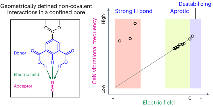 Electrostatic atlas of non-covalent interactions built into metal ...