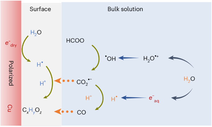 Bulk water redox chemistry enables radical-mediated C–C coupling in CO2 ...
