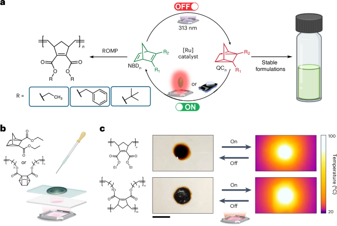 Photoswitchable latent monomers enable on‑demand metathesis | Nature ...