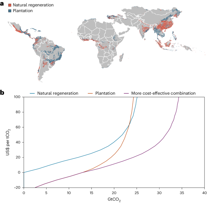 A mix of reforestation methods offers more cost-effective climate ...