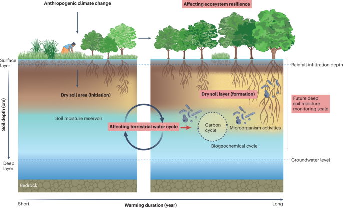 Hidden deep soil moisture droughts | Nature Climate Change