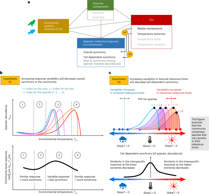 Temperature and biodiversity influence community stability differently ...