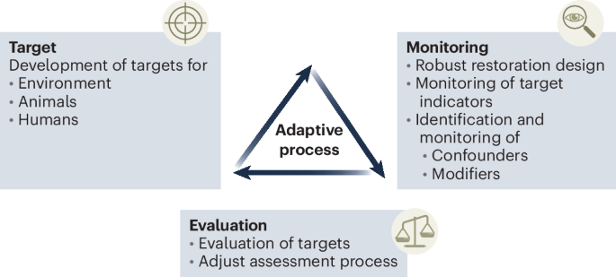 Adaptive ecosystem restoration to mitigate zoonotic risks | Nature ...
