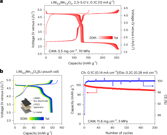 Overcoming high-voltage limits in all-solid-state batteries with a ...