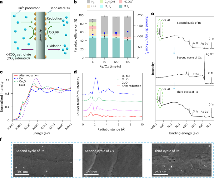 Recoverable operation strategy for selective and stable electrochemical ...