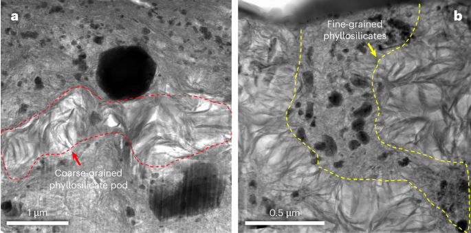 Composition of asteroid Bennu transformed by aqueous alteration ...