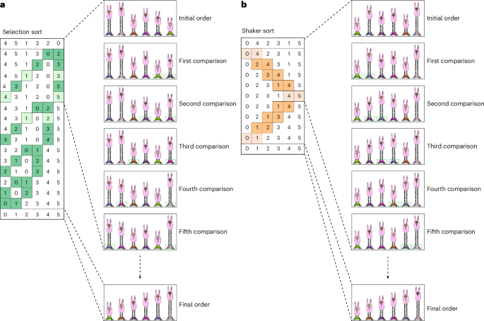 Children spontaneously discover efficient solutions to a difficult ...